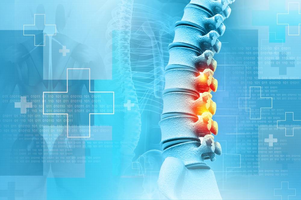 What Is a Spinal Cord Injury | Morelli Law Firm